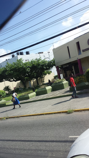 Victoria Mutual Building Society in Kingston, - Zaubee