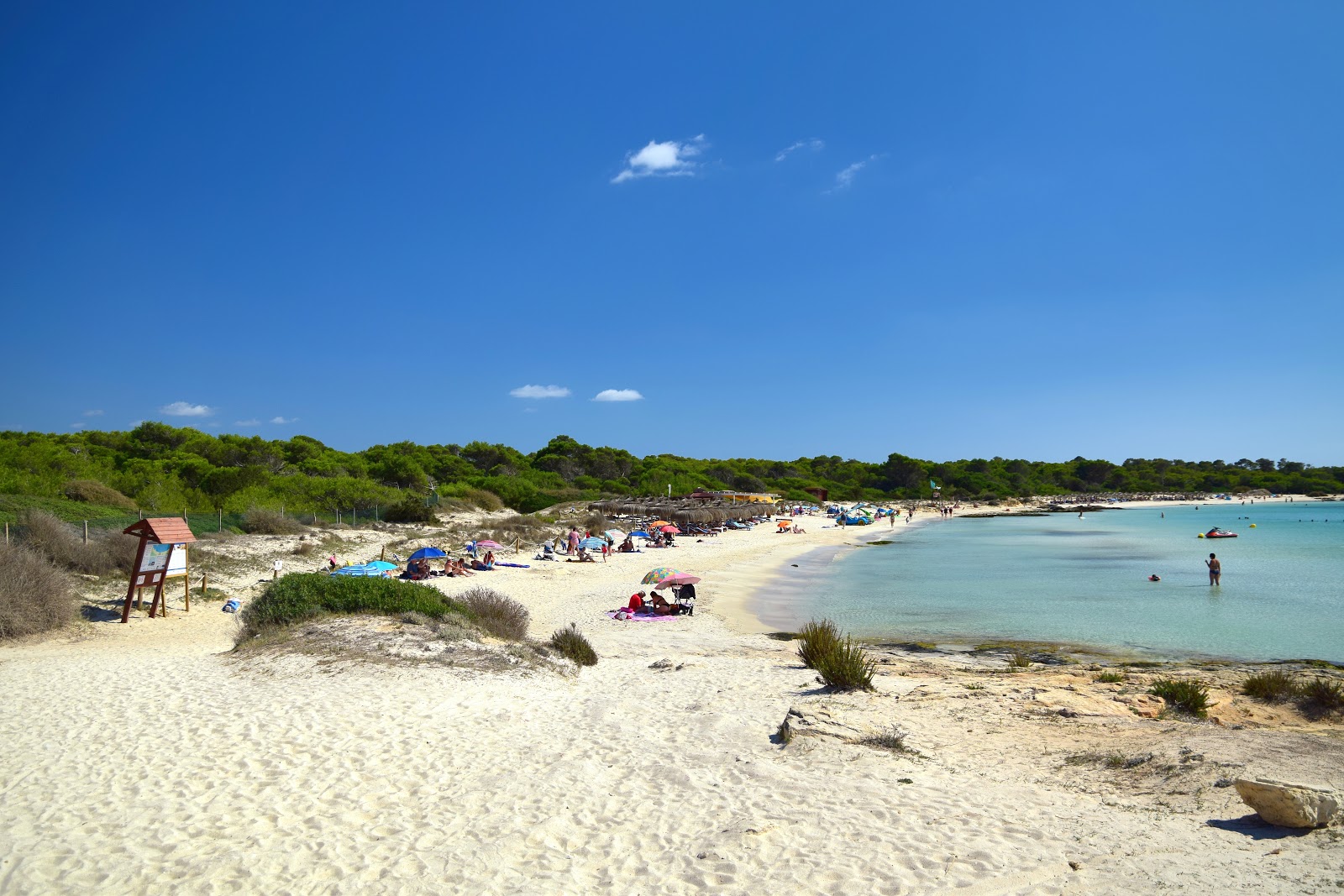 Dolc Strand (Platja d'es Dolc) 🏖️, Mallorca (Spanien) - Alle Funktionen ...