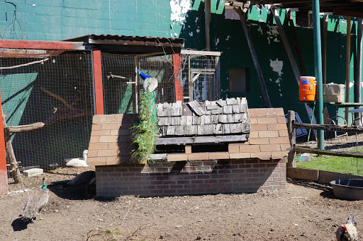 Zoo «Tri-State Zoological Park», reviews and photos, 10105 Cottage Inn ...