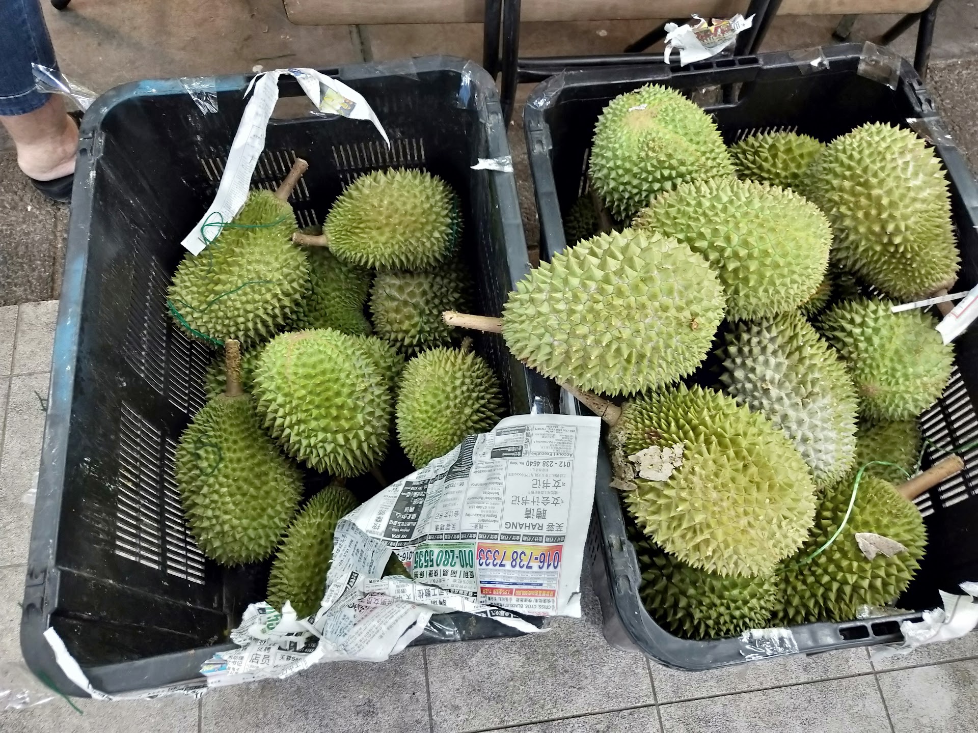 Botak Kho Durians - reviews,open hours,photo spots,things to do ...