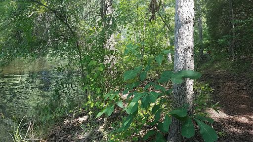 Lake Twitty Boathouse in Monroe, North Carolina - Zaubee