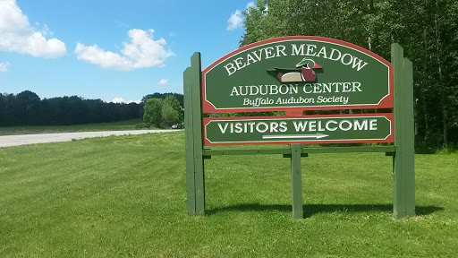 Nature Preserve «Beaver Meadow Audubon Center», reviews and photos ...