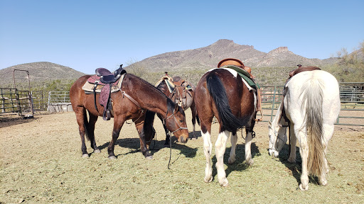 Horseback Riding Service «Spur Cross Stables», reviews and photos ...