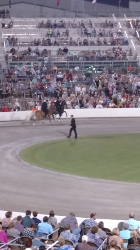 Stadium «Calsonic Arena», reviews and photos, 721 Whitthorne St ...