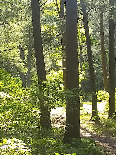 Hone Quarry Campground - Dayton, Virginia - Zaubee