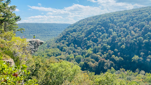 Ozark-St. Francis National Forest - AZexplained