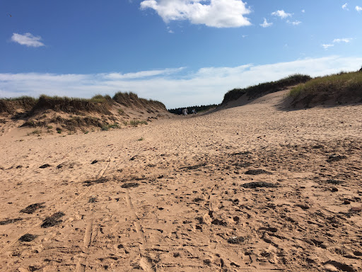Blooming Point Beach in Mount Stewart, Prince Edward Island - Zaubee