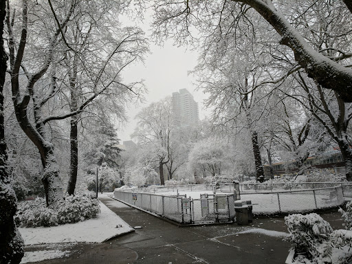 Park «Denny Park», reviews and photos, 100 Dexter Ave N, Seattle, WA ...