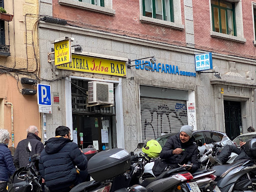 Restaurante Bar Selva en Madrid