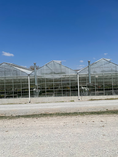 South West Valley Farm Poultry And Greenhouse in Kalona, Iowa - Zaubee