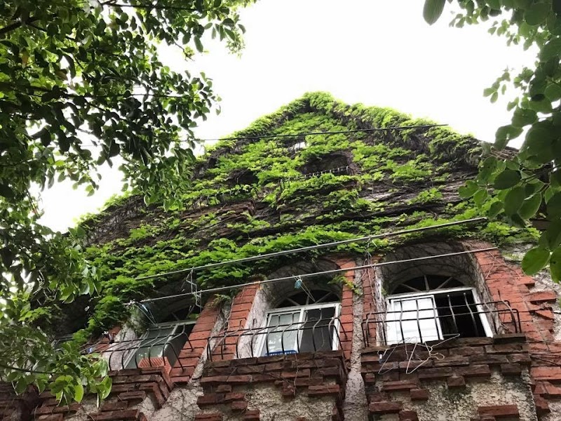 奄美ゲストハウスTegeTege (鹿児島県奄美市名瀬伊津部町 民宿 / 宿泊施設) - 高天井の2段ベッド、快適なゆったり感！ - グルコミ