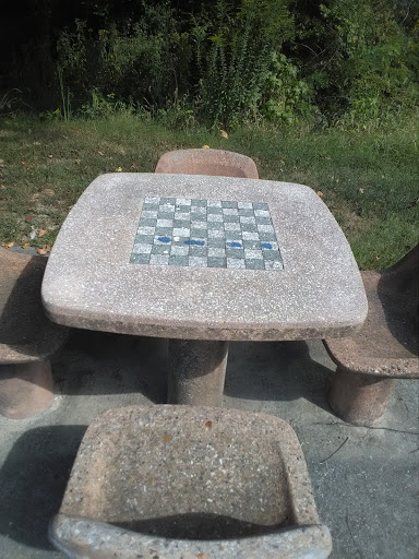 Park Chess Table