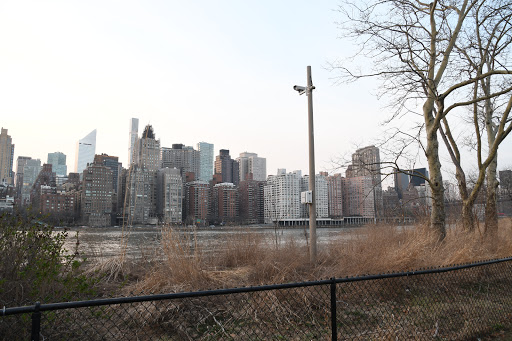 Movie Theater «AMC Magic Johnson Harlem 9», reviews and photos, 2309 ...