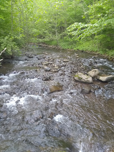 Hone Quarry Campground - Dayton, Virginia - Zaubee