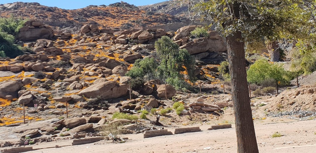 Usave Nababeep in the city Nababeep