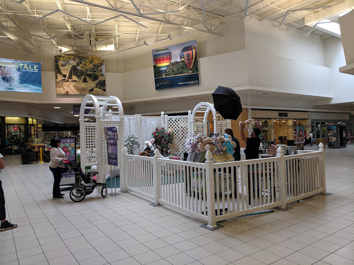 Animas Valley Mall - AZexplained