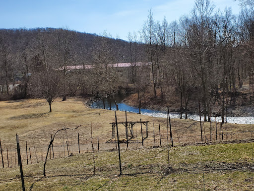 Vineyard «Torne Valley Vineyard», reviews and photos, 1 Torne Valley Rd ...
