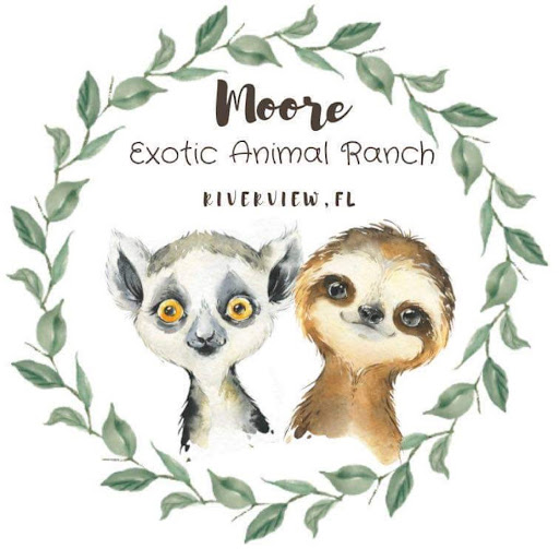 Moore Exotic Animal Ranch - Animal Group Tours, Private Tours, Field ...