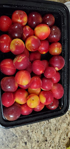 Persian Beauty Set (Sefidab, Kisseh, Stone) – Kalamala