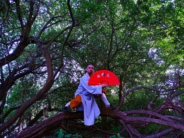 28 reviews of Shaolin Temple Martial Arts and Cultural Centre (School ...