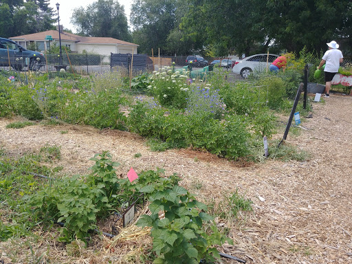 Historic Sandy Community Garden - AZexplained