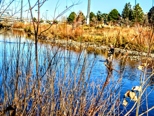 Park «Commons Park», reviews and photos, 2101 15th St, Denver, CO 80202 ...