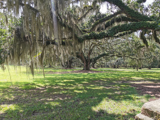 Bluff Plantation in Yemassee, South Carolina - Zaubee