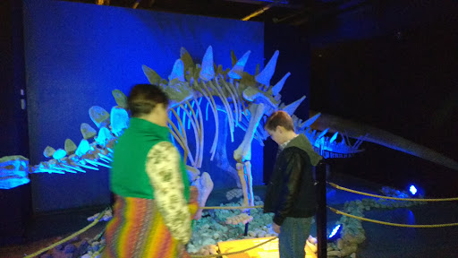 Museum «Portland Science Center», reviews and photos, 68 Commercial St ...