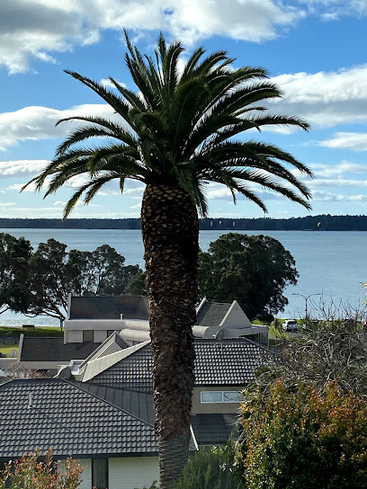 Eden Trees Professional Arborist - Arborist and tree surgeon - - Zaubee