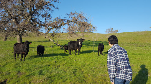 RV Park «Maple Leaf RV Park», reviews and photos, 15200 Monterey Rd ...