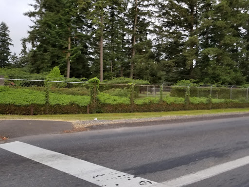 Golf Course «Lake Spanaway Golf Course», reviews and photos, 15602 ...