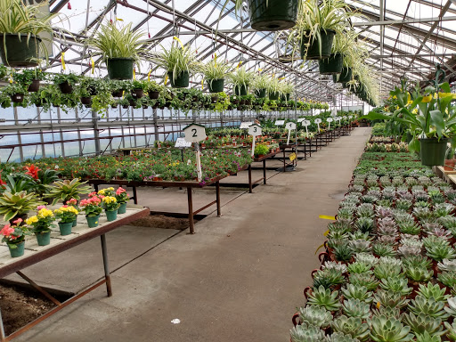 Kanes Flowers | Best Flower Site