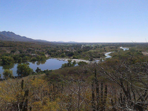 Community Center «Firstenburg Community Center», reviews and photos ...