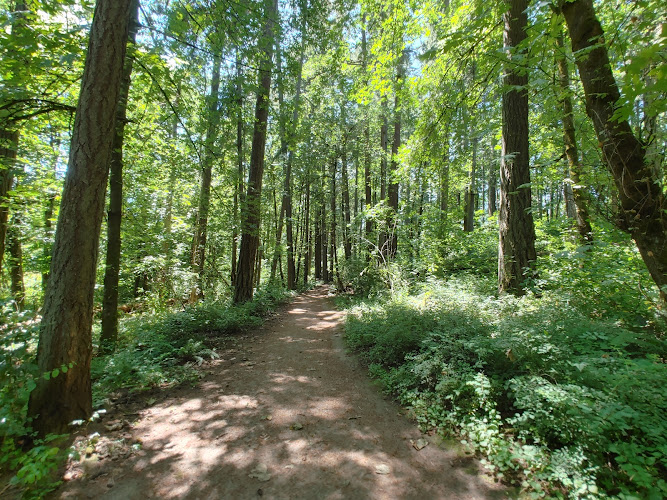 Bryant Woods Nature Park in Lake Oswego - Updated March 2025 - 4163 SW ...