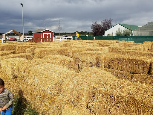 Cottonwood Farms - AZexplained