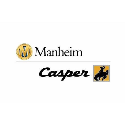Manheim Casper - AZexplained