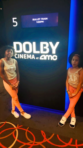 Movie Theater «AMC Magic Johnson Harlem 9», reviews and photos, 2309 ...