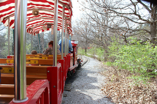 Lincoln Children's Zoo - AZexplained