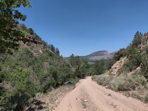 Horse Gulch Trail Head