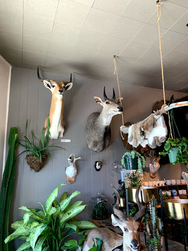 Gift Shop «Natural Selection», reviews and photos, 39 St Lawrence Ave ...