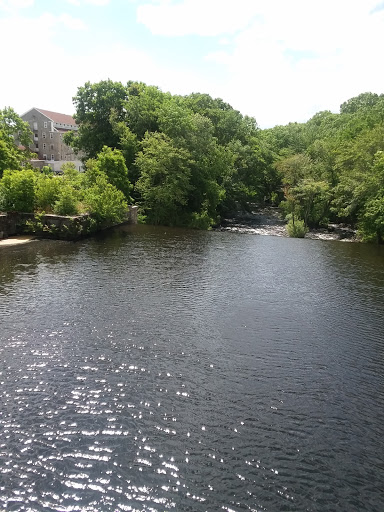 Rhodes Pharmaceuticals - AZexplained