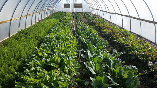 Ahavah Farm - AZexplained