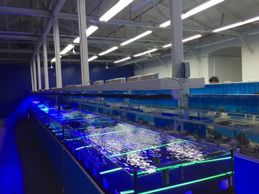 Tropical Fish Store «Max Reef Aquatics LLC», reviews and photos, 955 ...