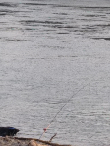 Park «Meldrum Bar Park», reviews and photos, 19 Meldrum Bar Park Rd ...