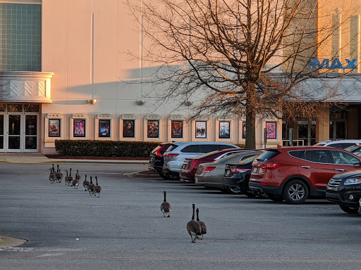 Movie Theater «Regal Cinemas Crossroads 20 & IMAX», reviews and photos ...