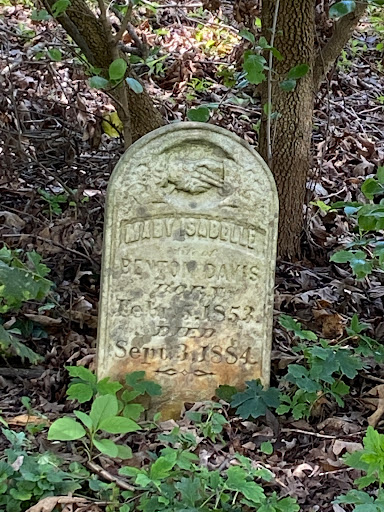 Nature Preserve «Shaw Nature Reserve», reviews and photos, 307 Pinetum ...