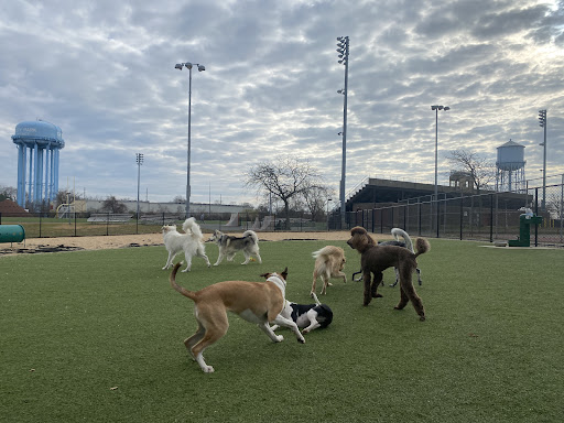 Are Dogs Allowed At Michael J Tully Park