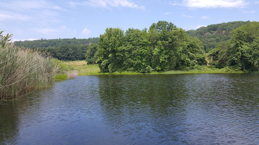 Country Club «Laurel View Country Club», reviews and photos, 310 W ...