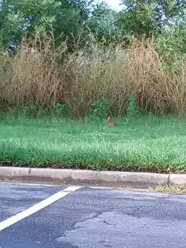 Event Venue «Bayview Commonwealth Center», reviews and photos, 350 ...