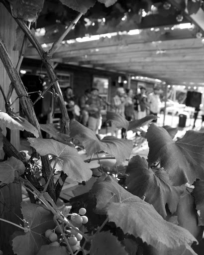 Winery «Rustic Ridge Winery», reviews and photos, 2805 St Hwy 80 ...